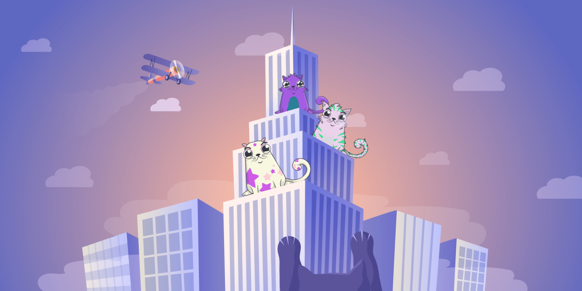 Kitty Kong – Pansensory Interactive